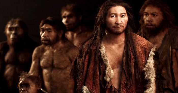 Revista AdNormas - Sapiens: o custo de pensar e uma raça de cozinheiros